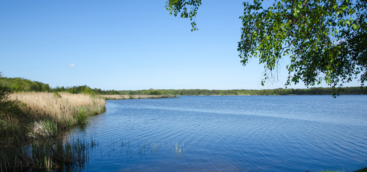 Paremman kesäloman huoneentaulu - Essive